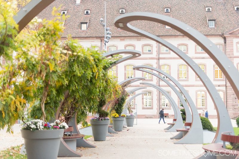 15 Pictures of Colmar France That Will Leave You Booking a Trip