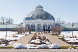 Affordable Warm Activities to do During Winter in Buffalo New York