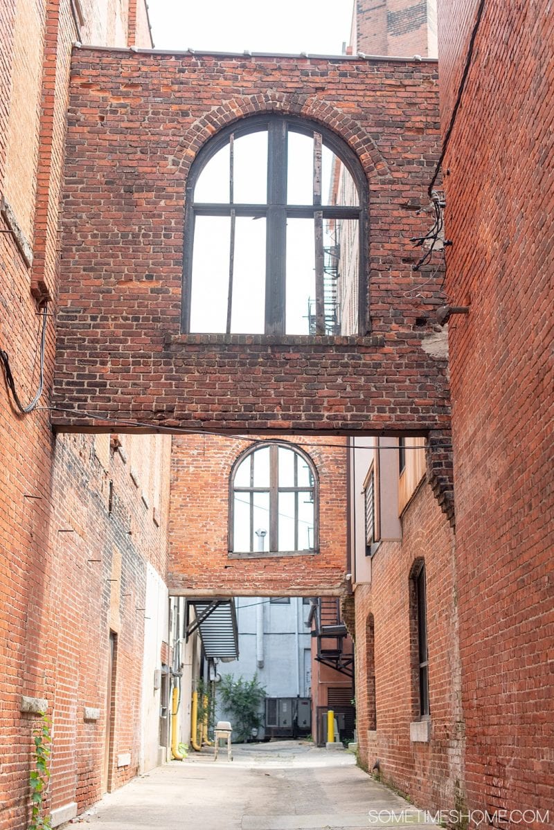 12 Best Photography Spots in Durham North Carolina