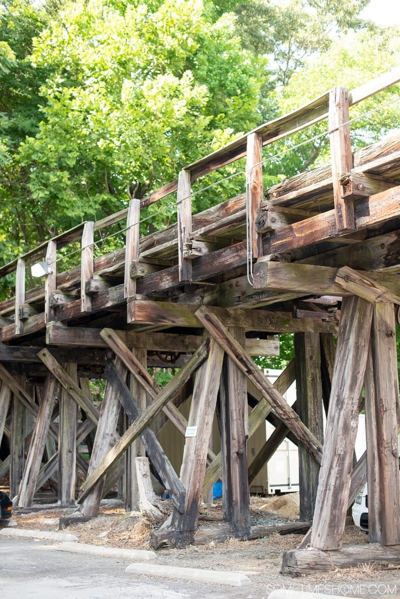 12 Best Photography Spots in Durham North Carolina