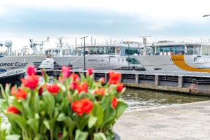 25 Things to do Aboard Emerald Waterways River Cruise Ships