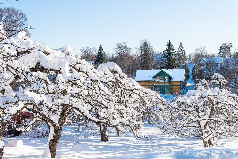 Things to Do in Asker Norway, A Day Trip Worth Taking from Oslo