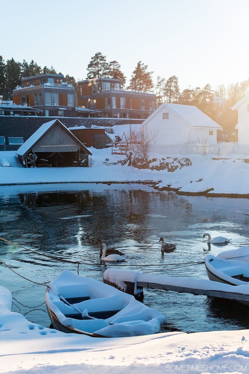 Things to Do in Asker Norway, A Day Trip Worth Taking from Oslo
