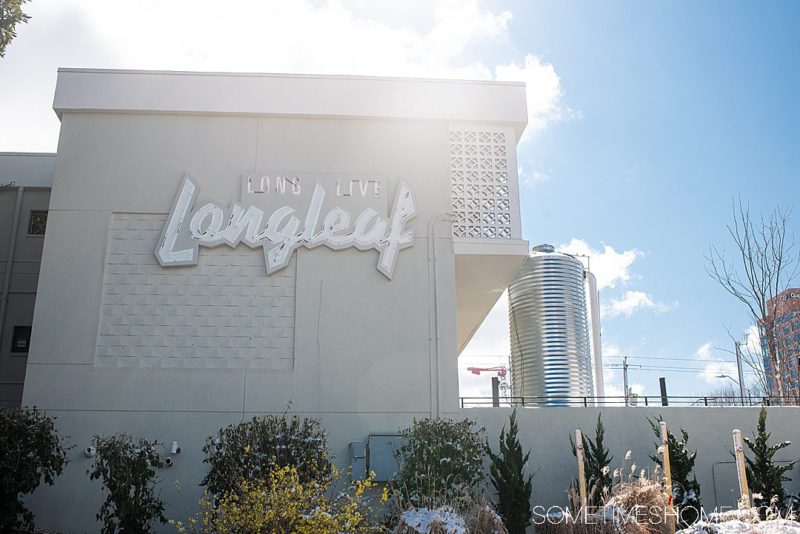 The Longleaf Hotel in Raleigh: Review of a Midcentury Modern Dream