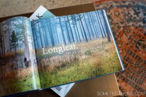 The Longleaf Hotel in Raleigh: Review of a Midcentury Modern Dream