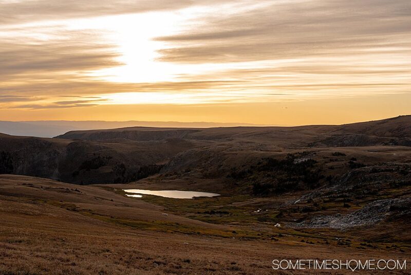 Beartooth Pass Highlights: Vital Info for the Scenic Drive