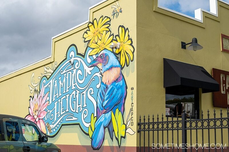 Over 40 of the Coolest Murals in Tampa Bay Florida + Where to Find Them