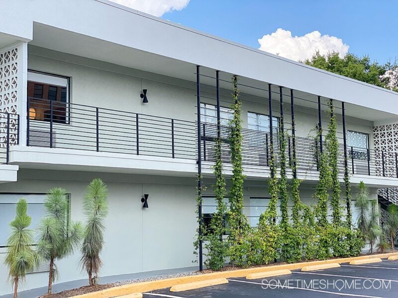 The Longleaf Hotel in Raleigh: Review of a Midcentury Modern Dream