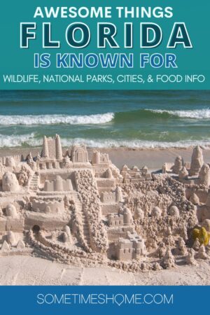 40 Awesome Things Florida is Known For